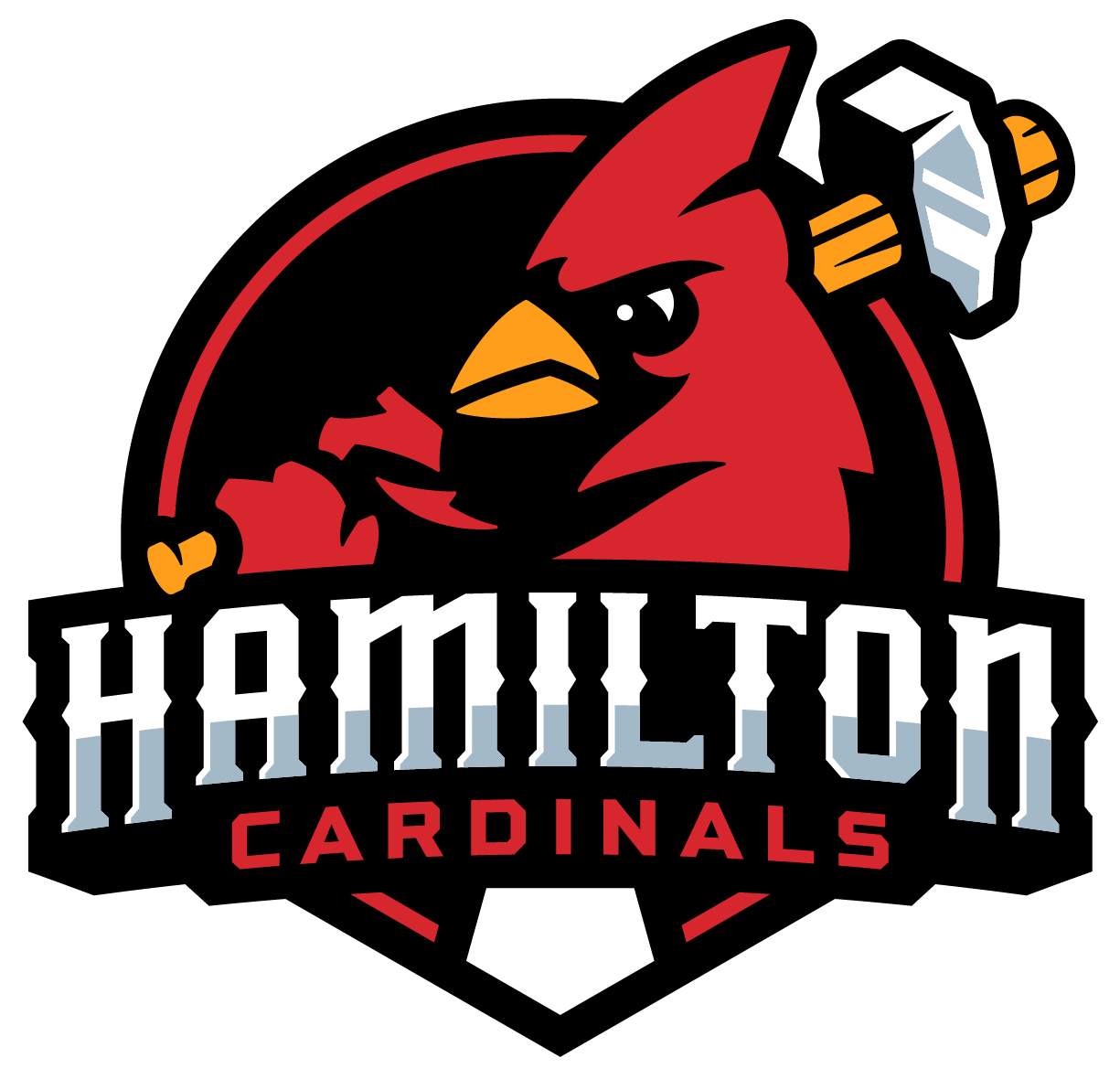 Hamilton Cardinals Online 50/50 Lottery – Cancer Assistance Program