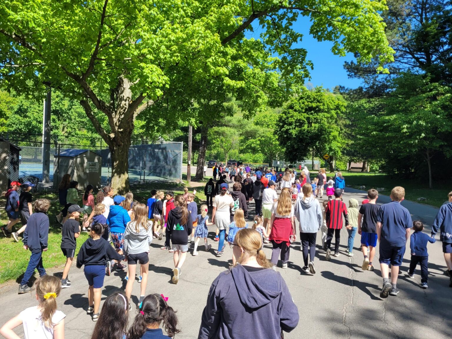 CARE Walk – Cancer Assistance Program